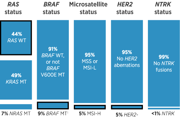 microsatellite status